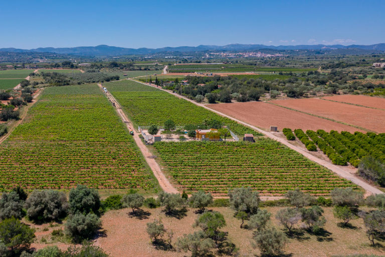 Disfruta de los paisajes del territorio del Vi de Carlon