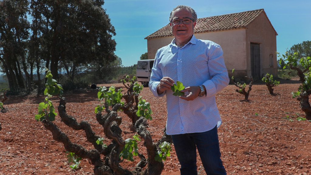 Vega Tolosa, una bodega con un legado que traspasa fronteras