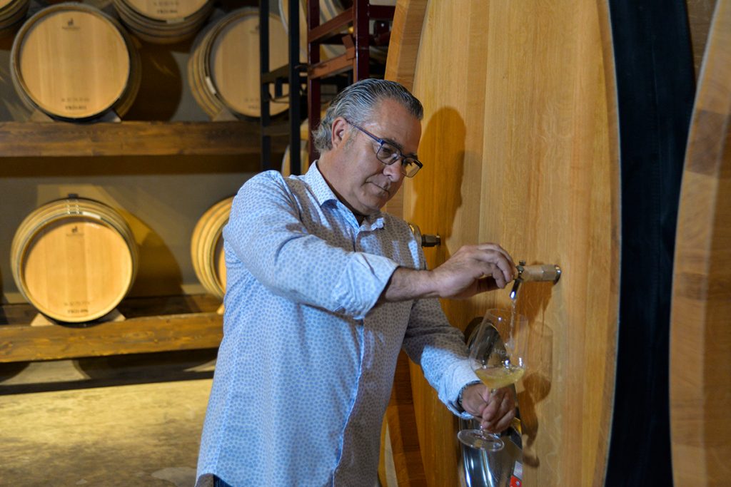 Vega Tolosa, una bodega con un legado que traspasa fronteras