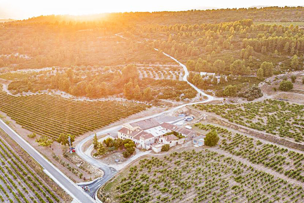 La bodega del mes: Bodega Rafael Cambra