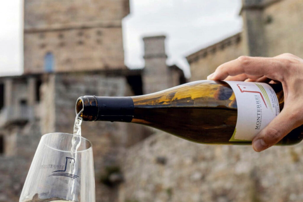 Los vinos DO Monterrei llegan a Valencia